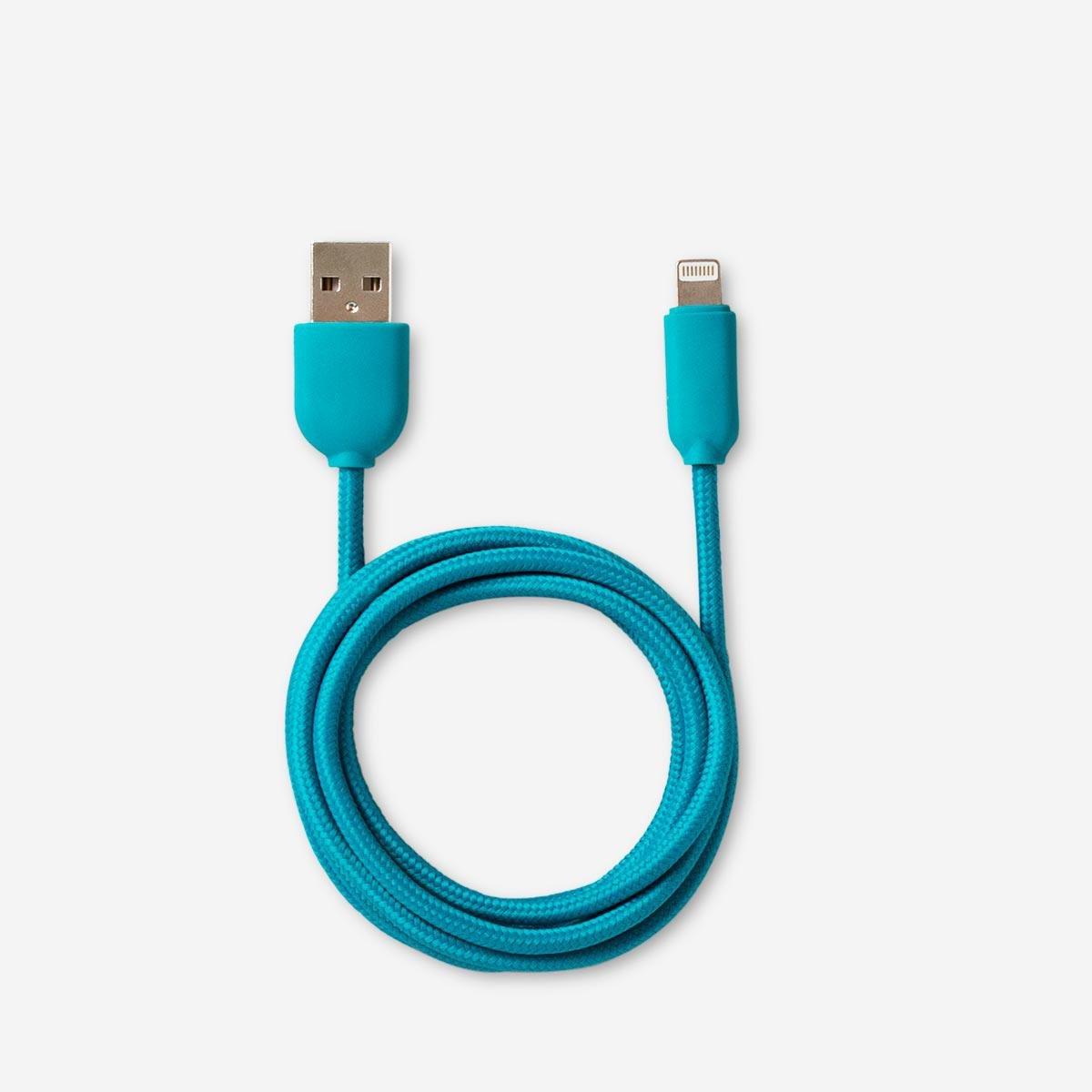 Blue charging cable | Flying Tiger UAE