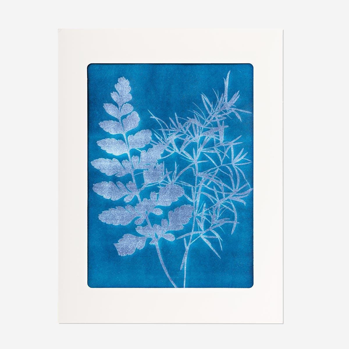 Blue DIY solar print kit | Flying Tiger UAE